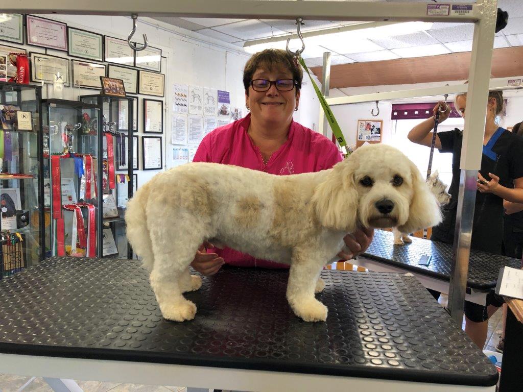 Doggie Styles dog and cat grooming and store Doggie Styles Dog Grooming and Dog Store